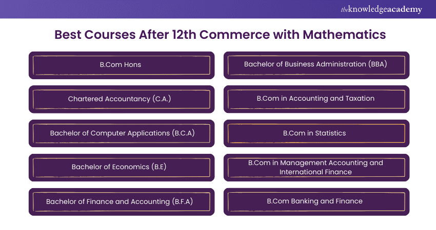 Explore the Best Courses After 12th Commerce for a Bright Future
